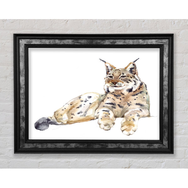 Bright Star Lynx Laying Down - Single Picture Frame Print | Wayfair.co.uk