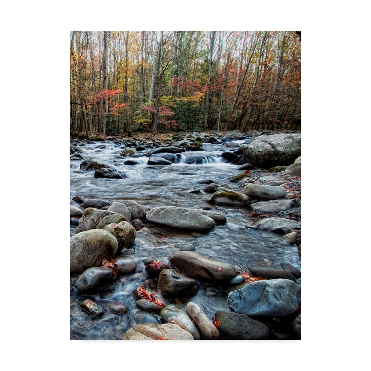 Millwood Pines Porters Creek II On Canvas by Danny Head Print - Wayfair ...