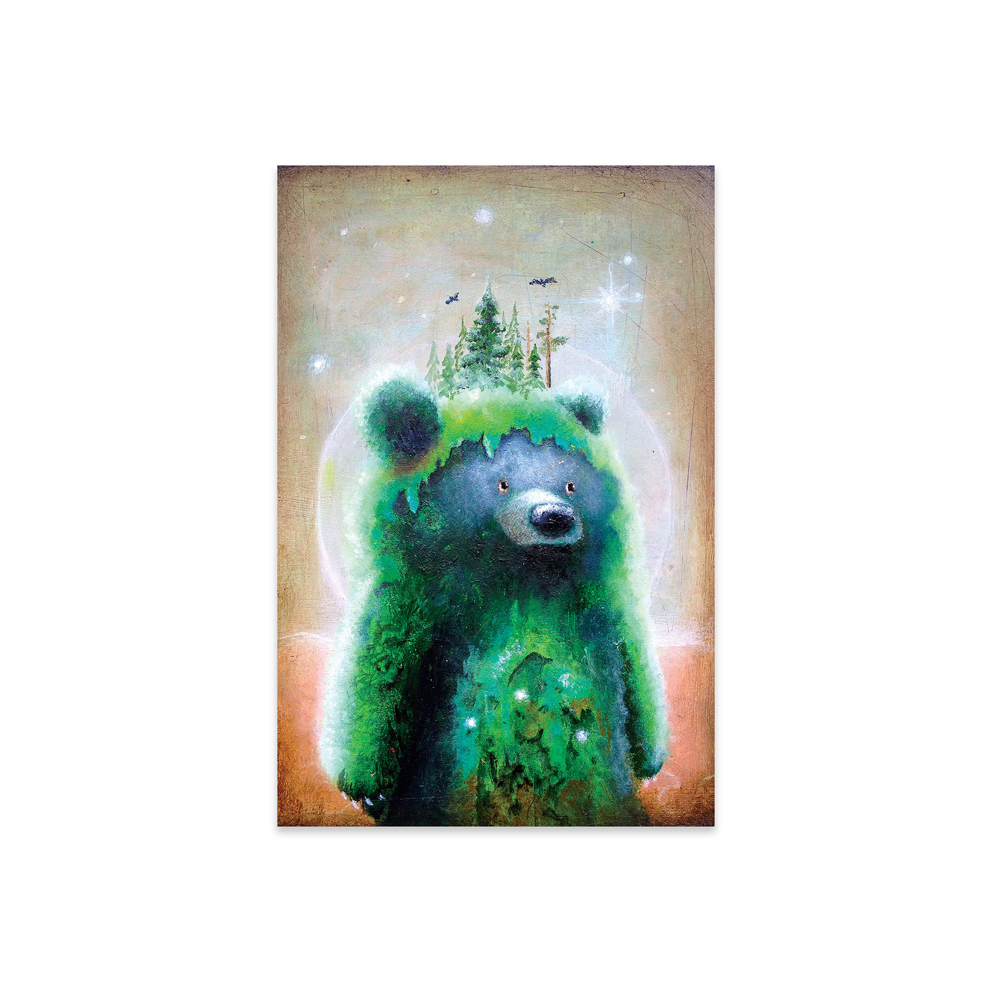 Millwood Pines After A Very Very Long Nap On Plastic/Acrylic by Scott ...