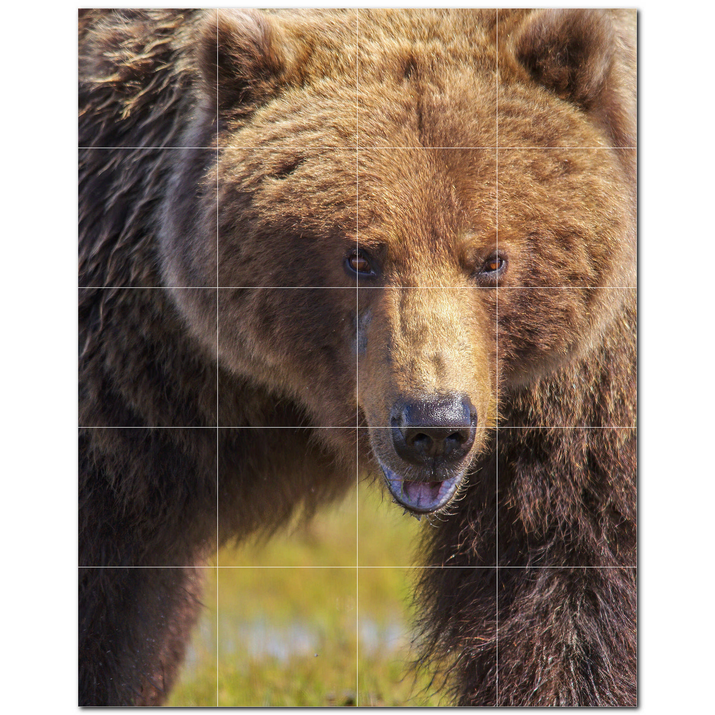 Picture-Tiles.com 48" x 60" Ceramic Bear Photo Decorative Mural Tile ...