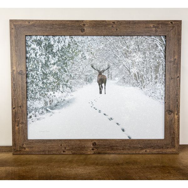 Millwood Pines Foot Elk - Picture Frame Graphic Art | Wayfair