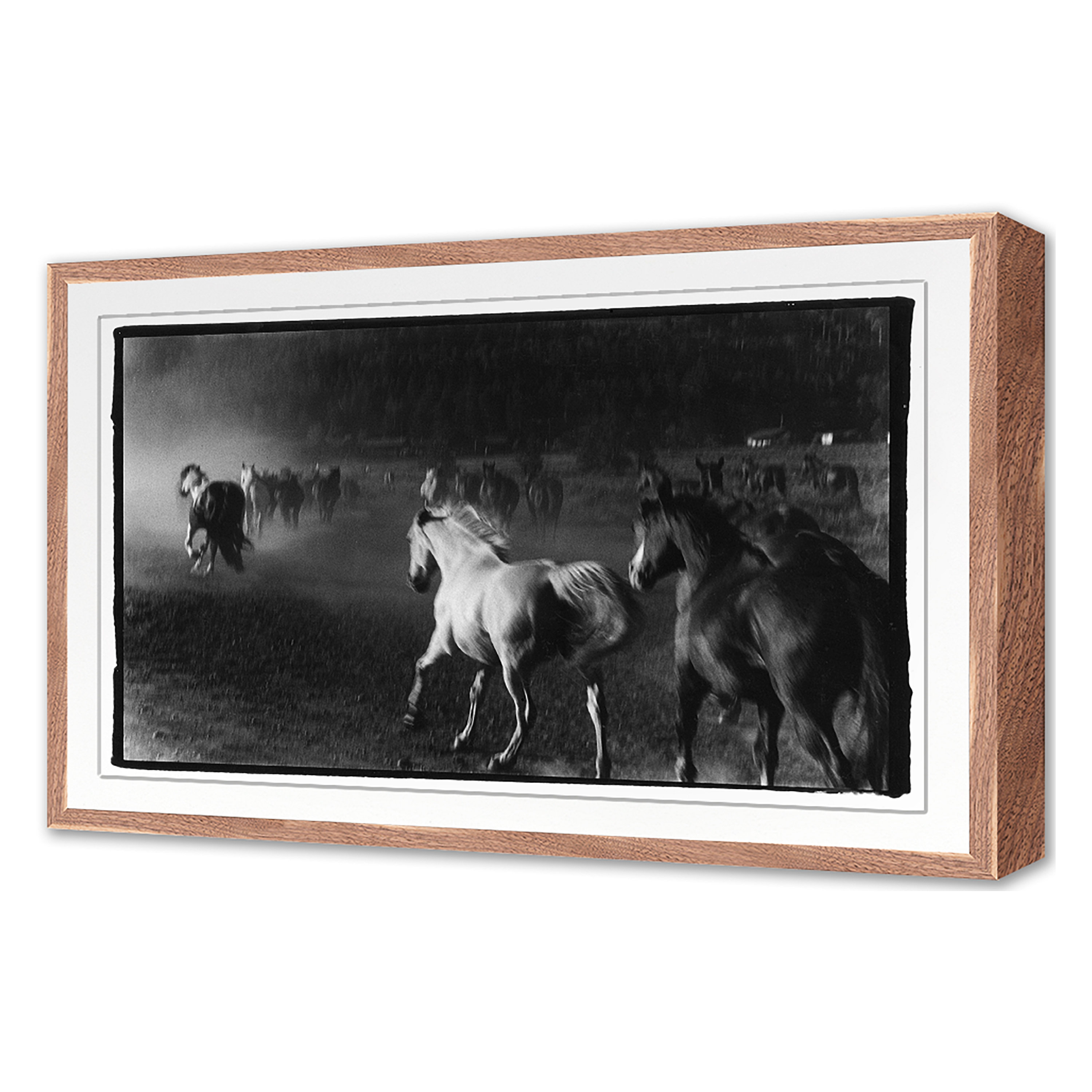 Grand Image Home Summer 2022 Hoof Dreams Framed On Paper by Amy Raab ...