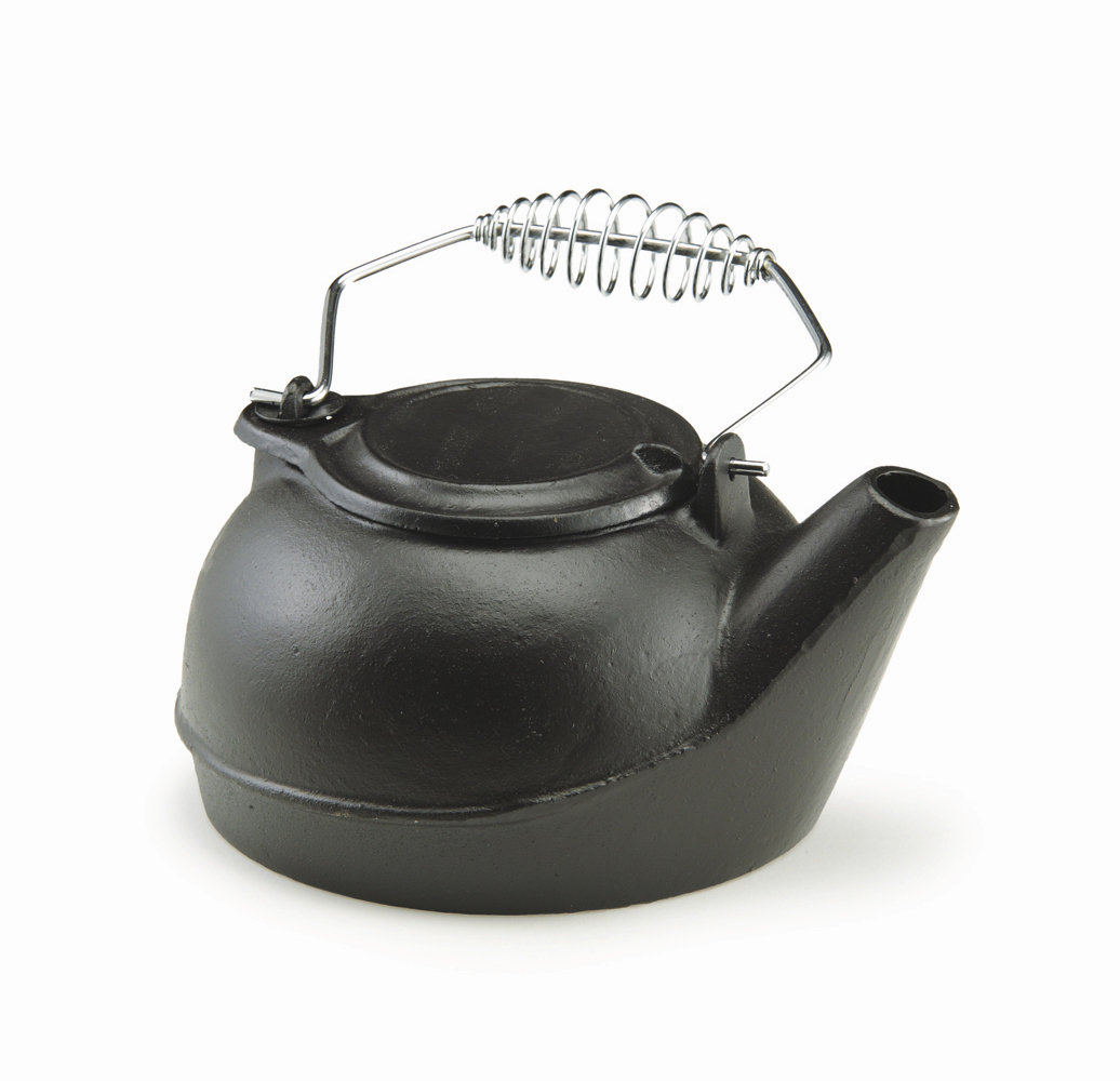 Gracie Oaks Lissie Wood Stove Tea Kettle | Wayfair