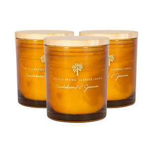 Candles, Scented Candles & Candle Sets / Gifts You'll Love | Wayfair.co.uk