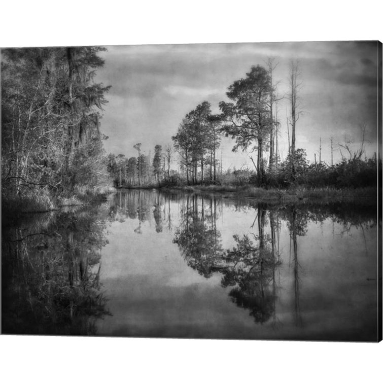 Loon Peak® Dark Swamp By Wiff Harmer, Canvas Wall Art | Wayfair
