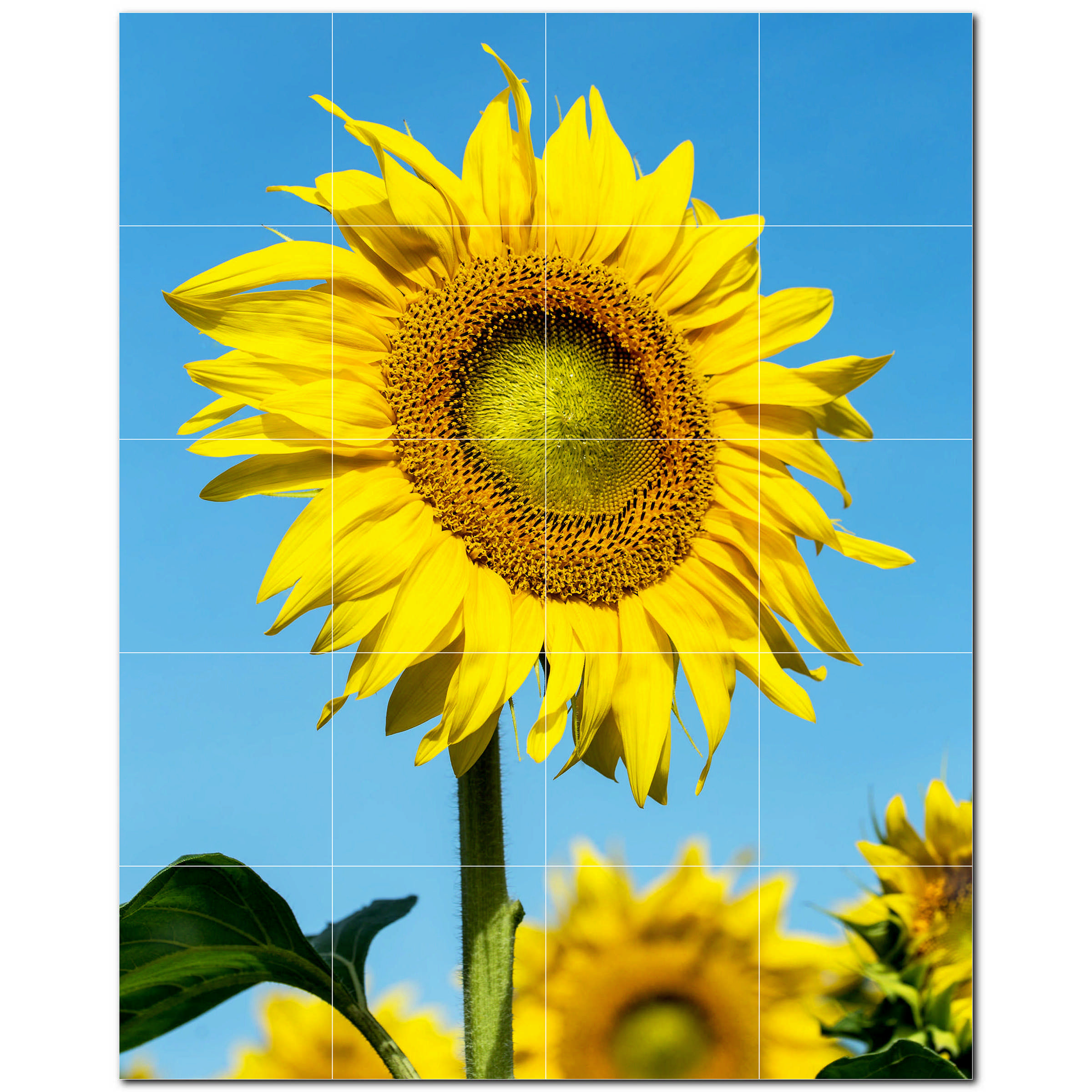 Picture-Tiles.com 24" x 30" Ceramic Farm Photo Decorative Mural Tile ...