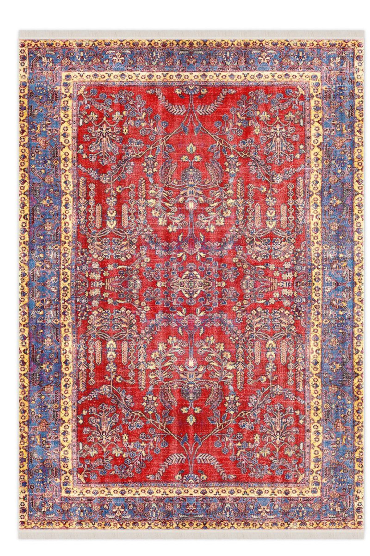 Bungalow Rose Seti Cotton Indoor/Outdoor Area Rug | Wayfair