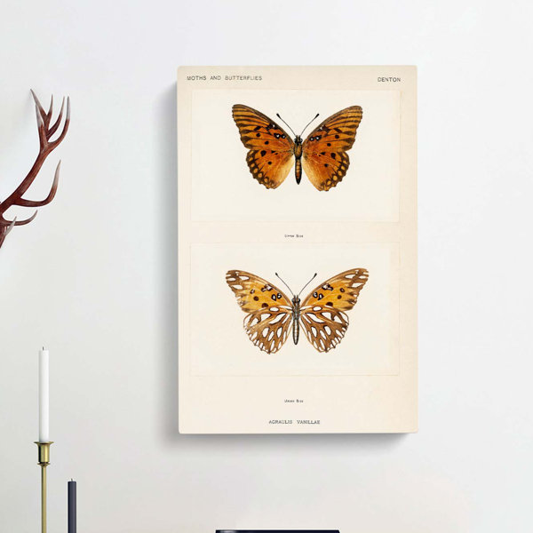 East Urban Home Gulf Fritillary Butterfly by S.F. Denton - Wrapped ...