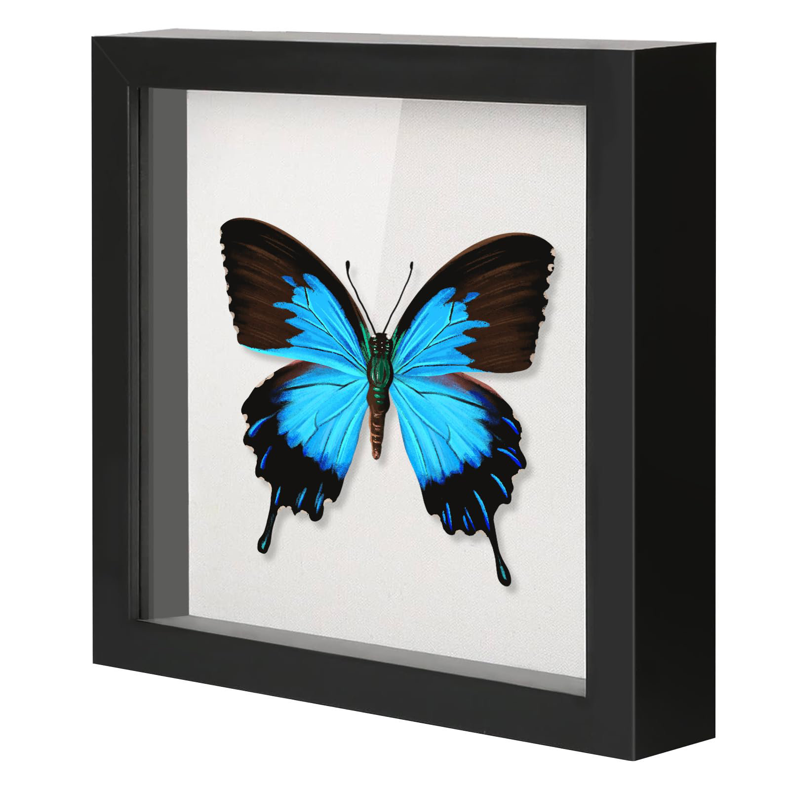 Latitude Run® 12X12 Shadow Box Frame With Linen Backboard & Real Glass ...
