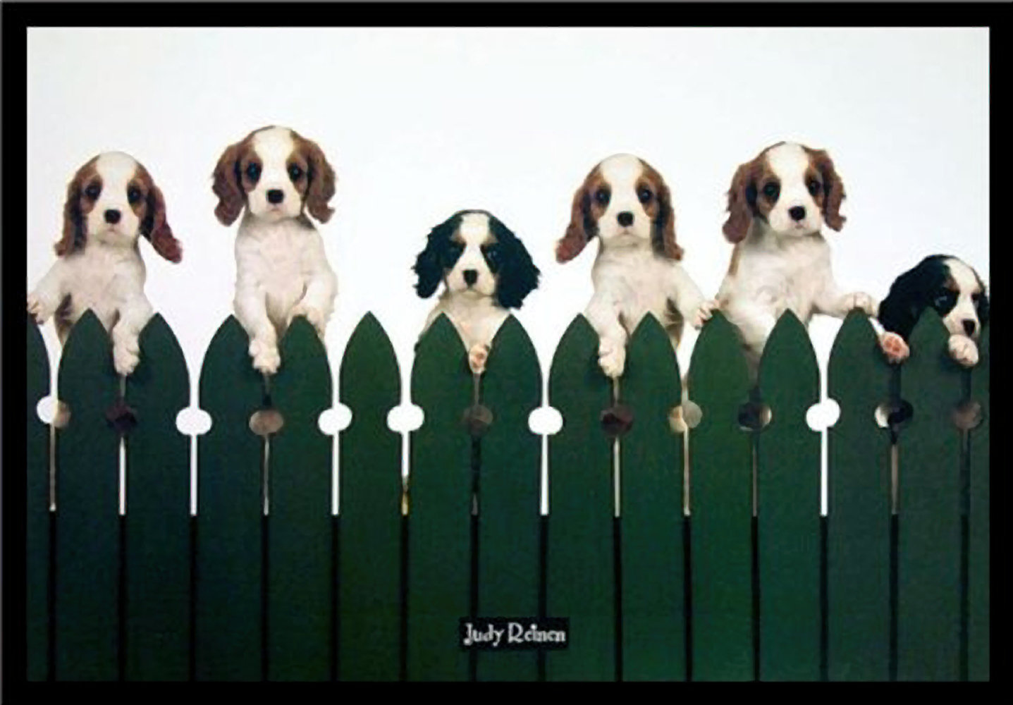 Isabelle & Max™ FRAMED Curious Puppies By Judy Reinen 36X24 Art Print ...