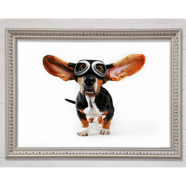 Bright Star Basset Hound Flight - Single Picture Frame Art Prints ...