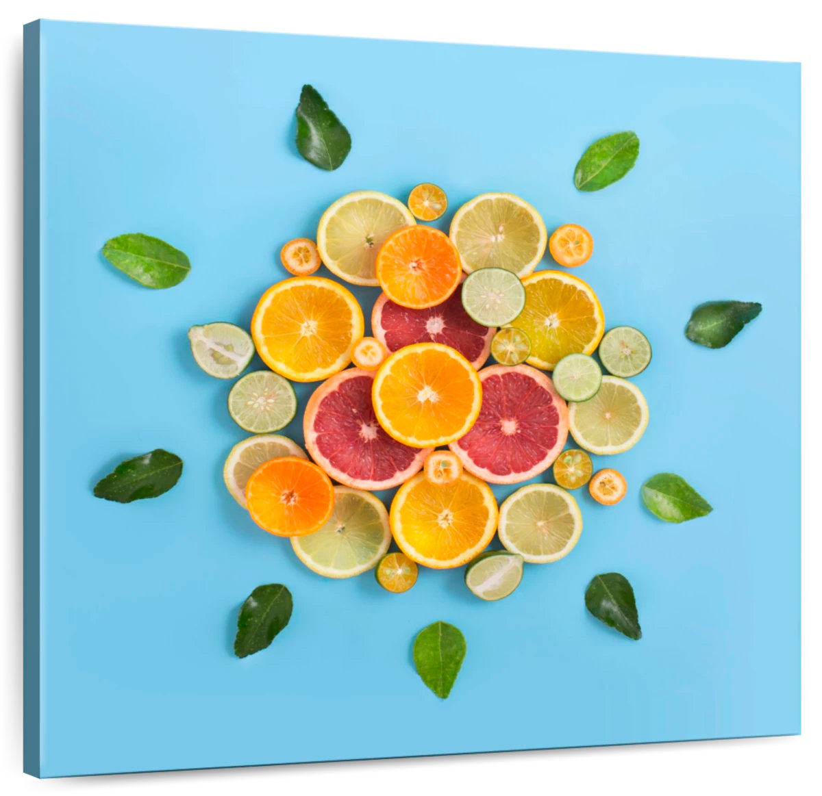 Elephant Stock Slices Of Citrus Fruits - Wayfair Canada