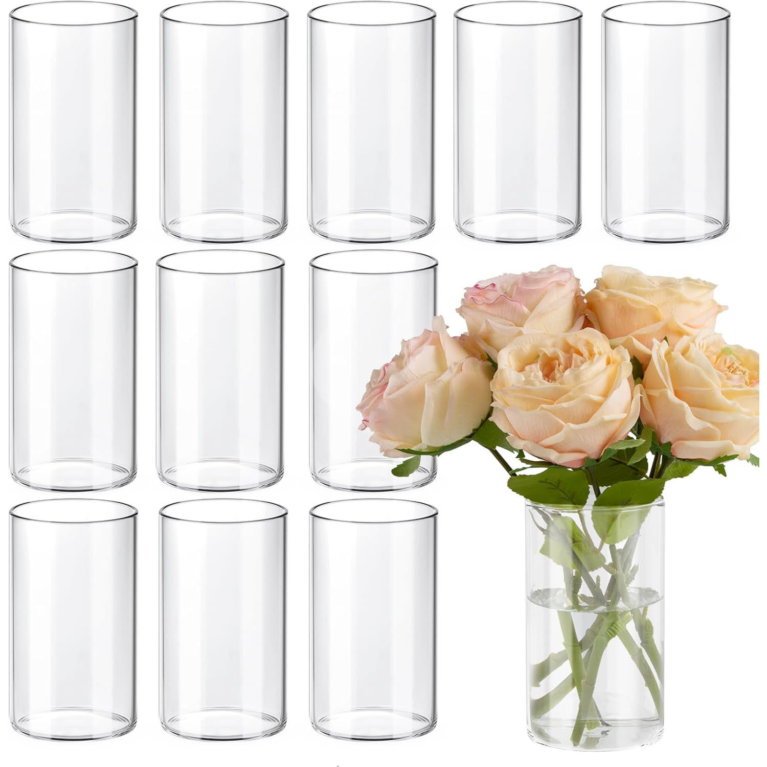 Latitude Run® 12 Pcs 6 Inch Clear Glass Cylinder Vases Dual-Use ...