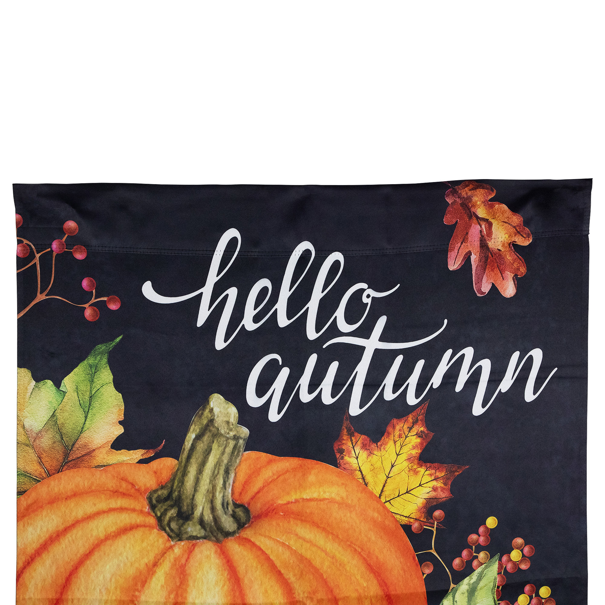 Northlight Seasonal Double Sided 40'' H x 28'' W Nylon House Flag | Wayfair