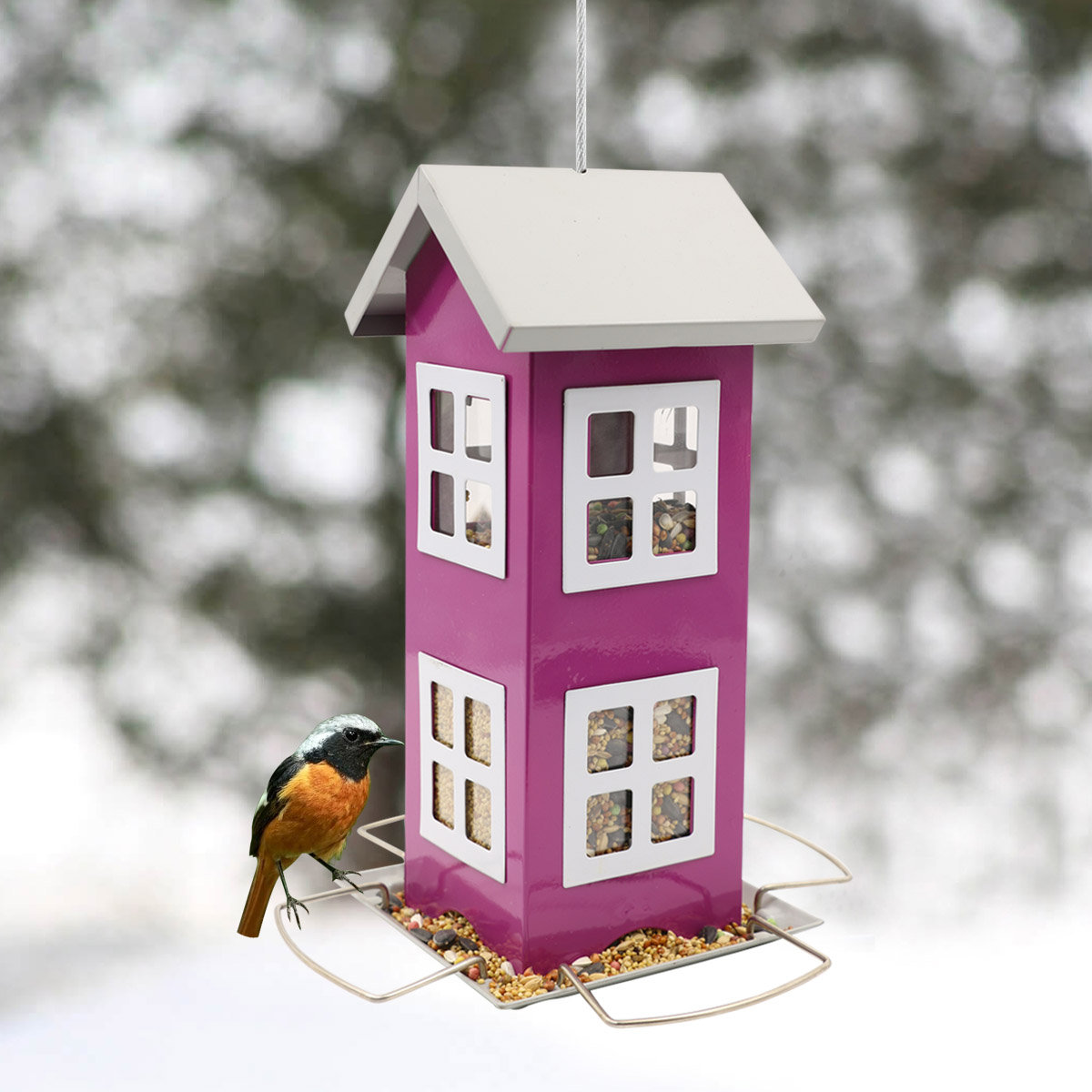 Arlmont & Co. Kasher Decorative Bird Feeder & Reviews | Wayfair