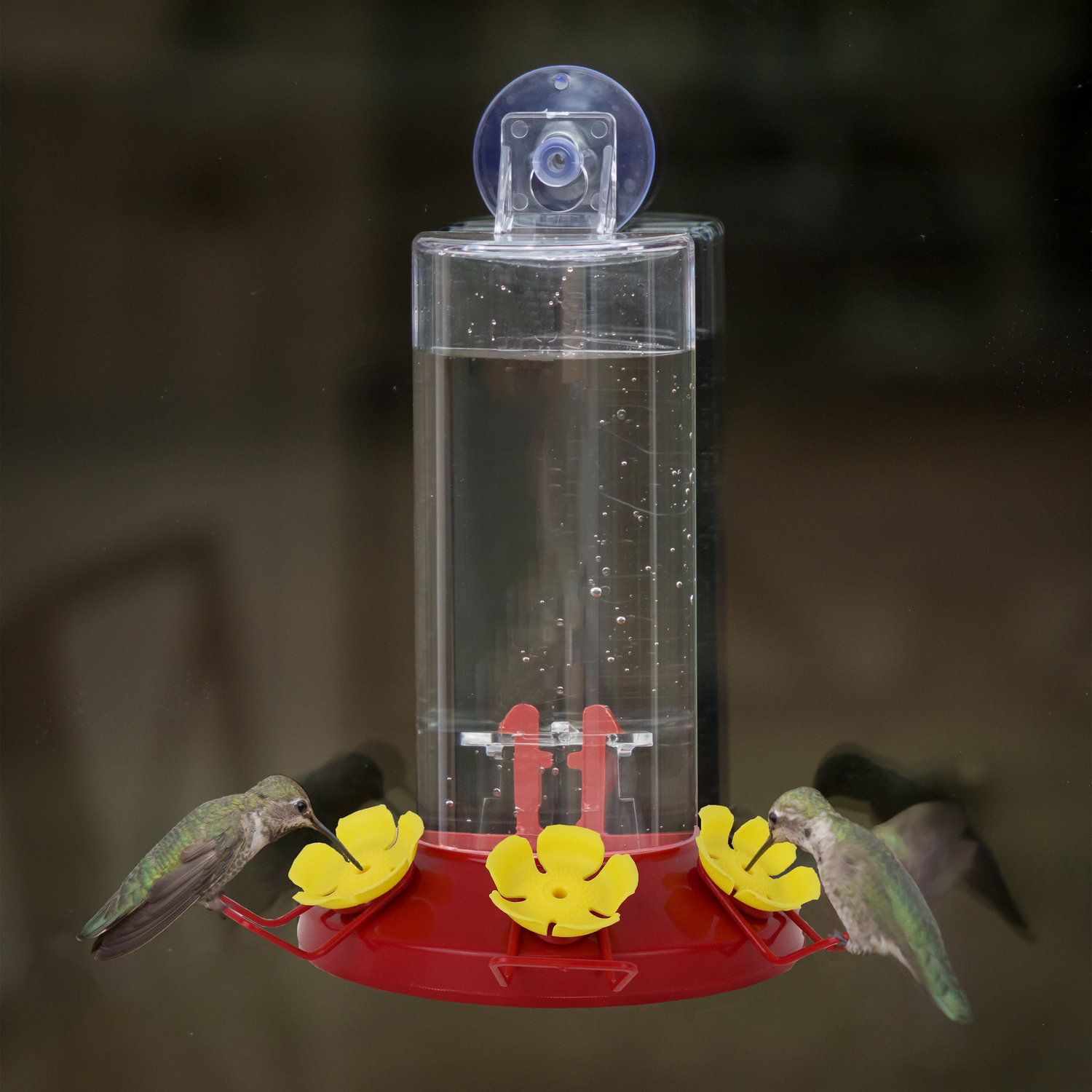 Bay Isle Home™ Elmsford Plastic Window Mount Nectar Hummingbird Feeder ...