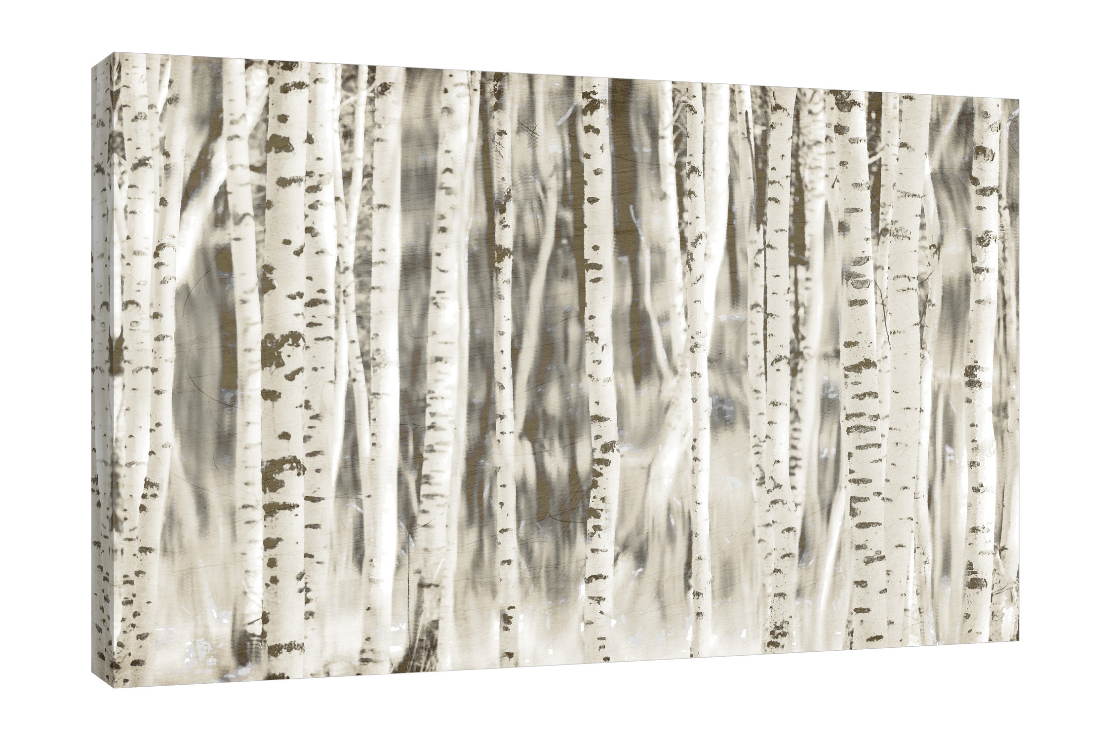 Jaxson Rea "Birches" Gallery Wrapped Canvas By Kimberly Allen 15873 ...