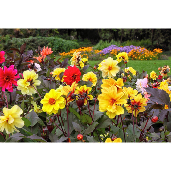 Ebern Designs Formal Garden by Tom_Coultas - Wrapped Canvas Print ...