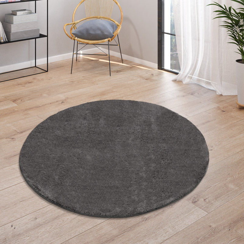 Canora Grey Aafreen Uniform Color Machine Woven Anthracite Area Rug ...