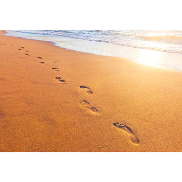 House of Hampton Footsteps At Sunset Time | Wayfair.co.uk