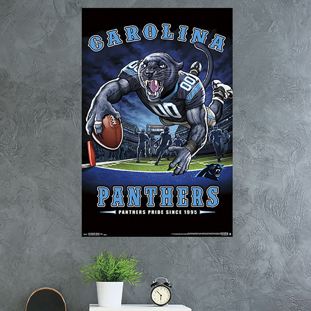 Trends International Carolina Panthers - End Zone Paper Print | Wayfair