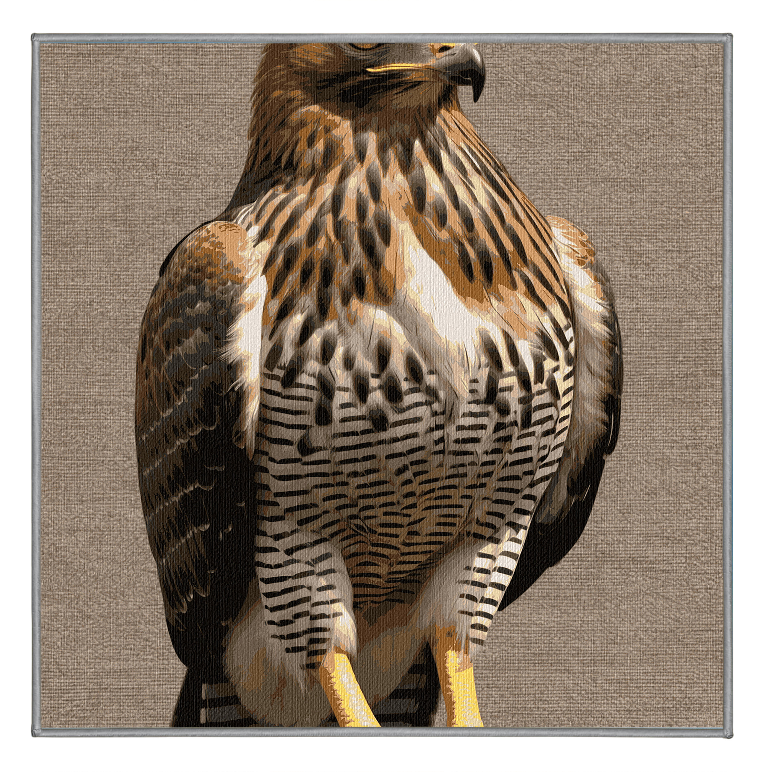 Foundry Select Washable Red shouldered Hawk Birds Area Rug | Wayfair