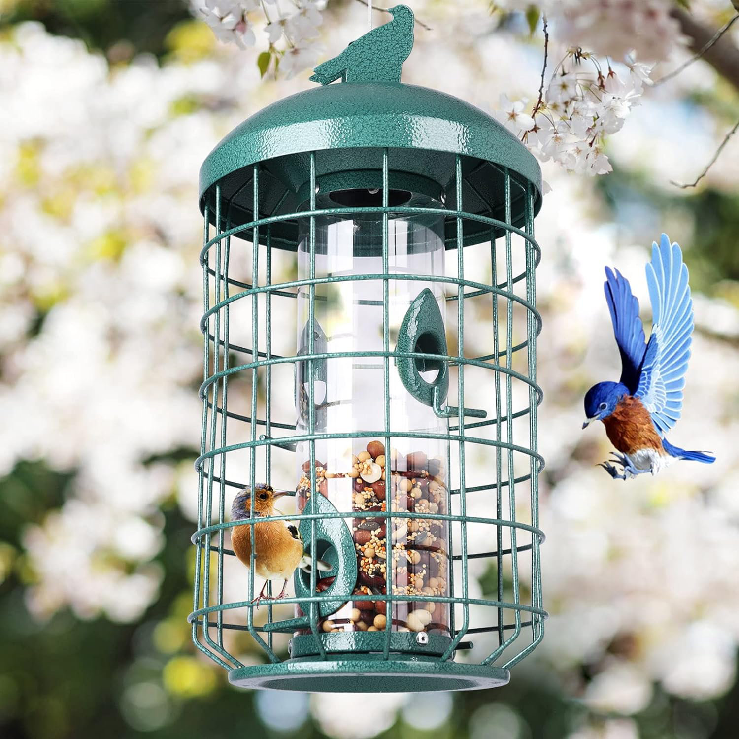 Arlmont & Co. Caged Bird Feeder For Outside, Large Squirrel Proof Metal ...