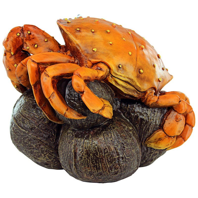 Design Toscano Coastal Crab Garden Statue & Reviews - Wayfair Canada