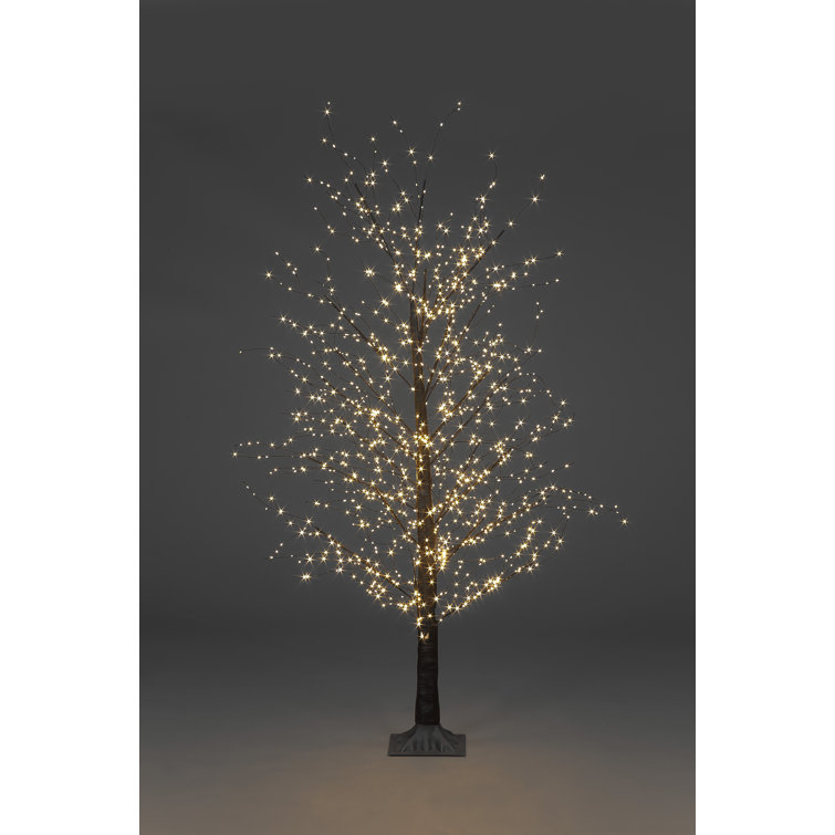 The Seasonal Aisle LED Indoor / Outdoor Lighted Trees & Branches ...