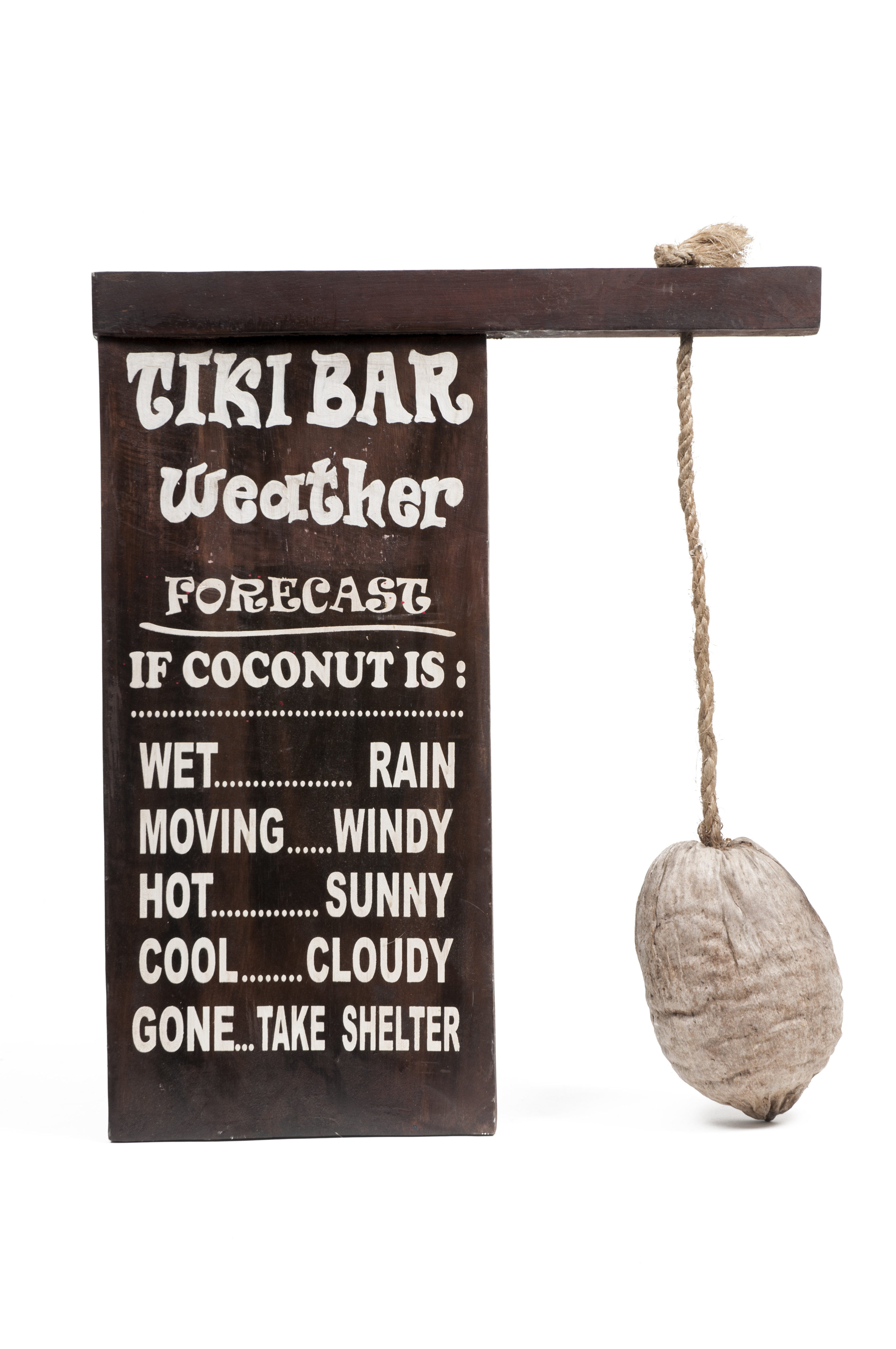 August Grove® Ayoola Coconut Weather Forecast Sign By RAM Game Room ...