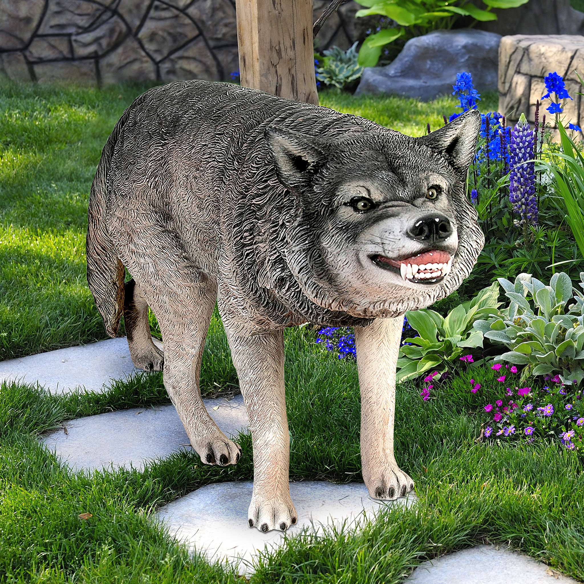 Design Toscano Call of the Wild: Growling Gray Wolf Statue & Reviews ...