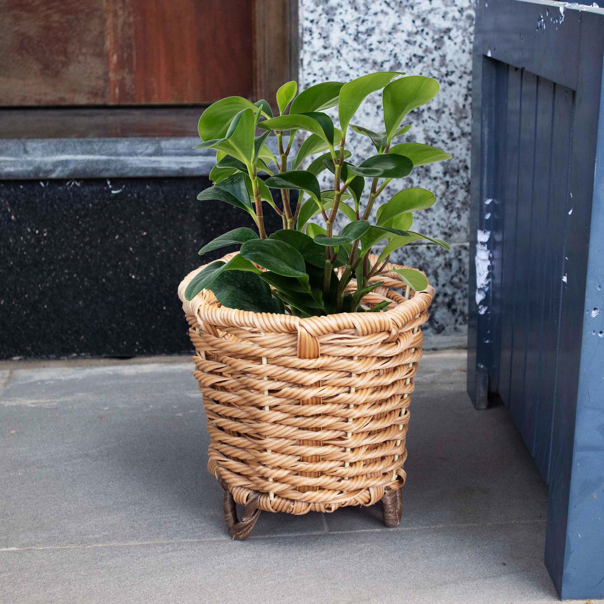 17 Stories Wicker Indoor & Ourdoor Planter Pot With Leg | Seagrass ...