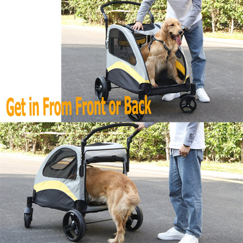 BingoPaw Folding Standard Stroller & Reviews | Wayfair