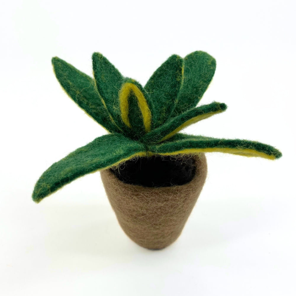 Humble Hilo Handmade Felt Flower Pot, Succulent, Green/Yellow, Small ...