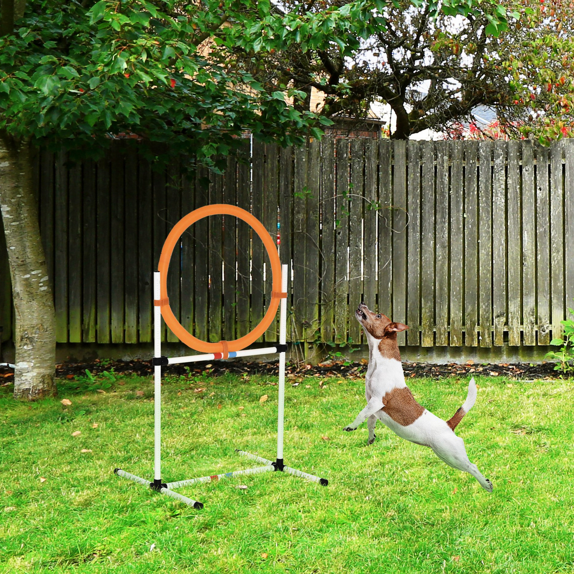 Hokku Designs 21 Dog Obstacle Training Kit - 'S Plastic Tire Jump Ring ...