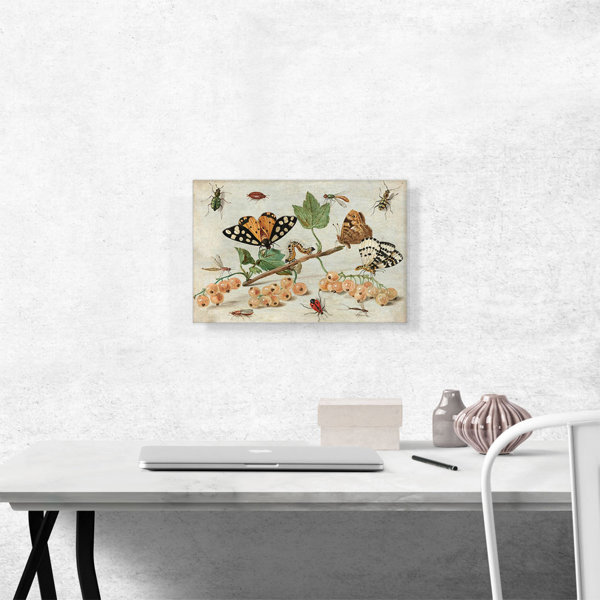 ARTCANVAS Insects And Fruit On Canvas by Jan Van Kessel Elder Print ...