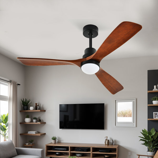 Wrought Studio Aranit Ceiling Fan with LED Lights | Wayfair