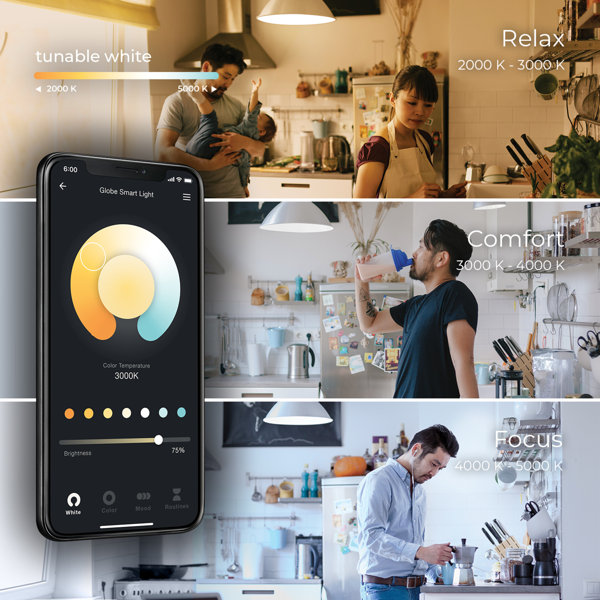 Globe Electric Company 40 Watt Equivalent A19 E26/Medium (Standard) LED ...