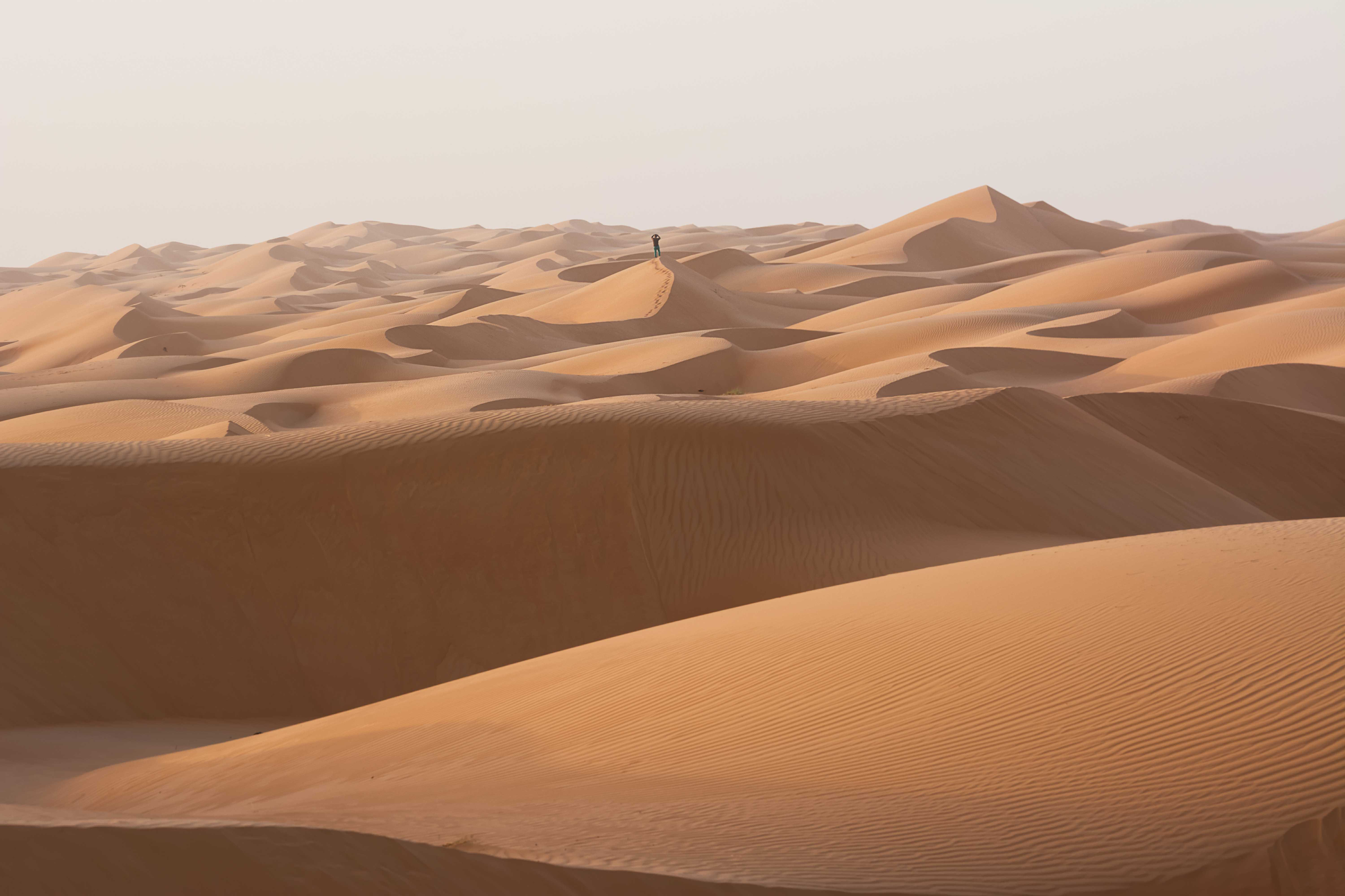 Union Rustic Wahiba Sand Desert by Angelo D'amico - Wrapped Canvas ...