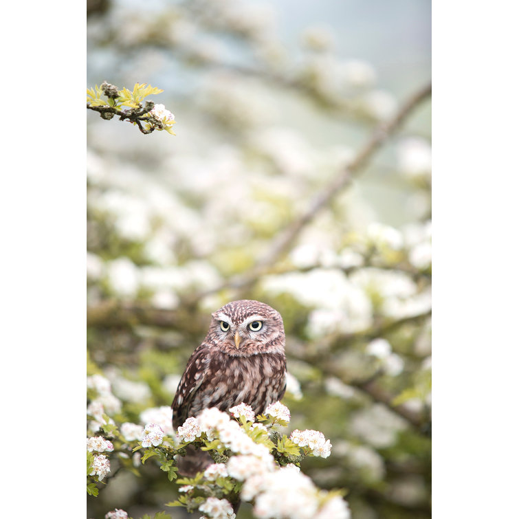 Mirrorstone 795X1195 Owl In The Spring NXT Gen Infrared Heating Panel ...