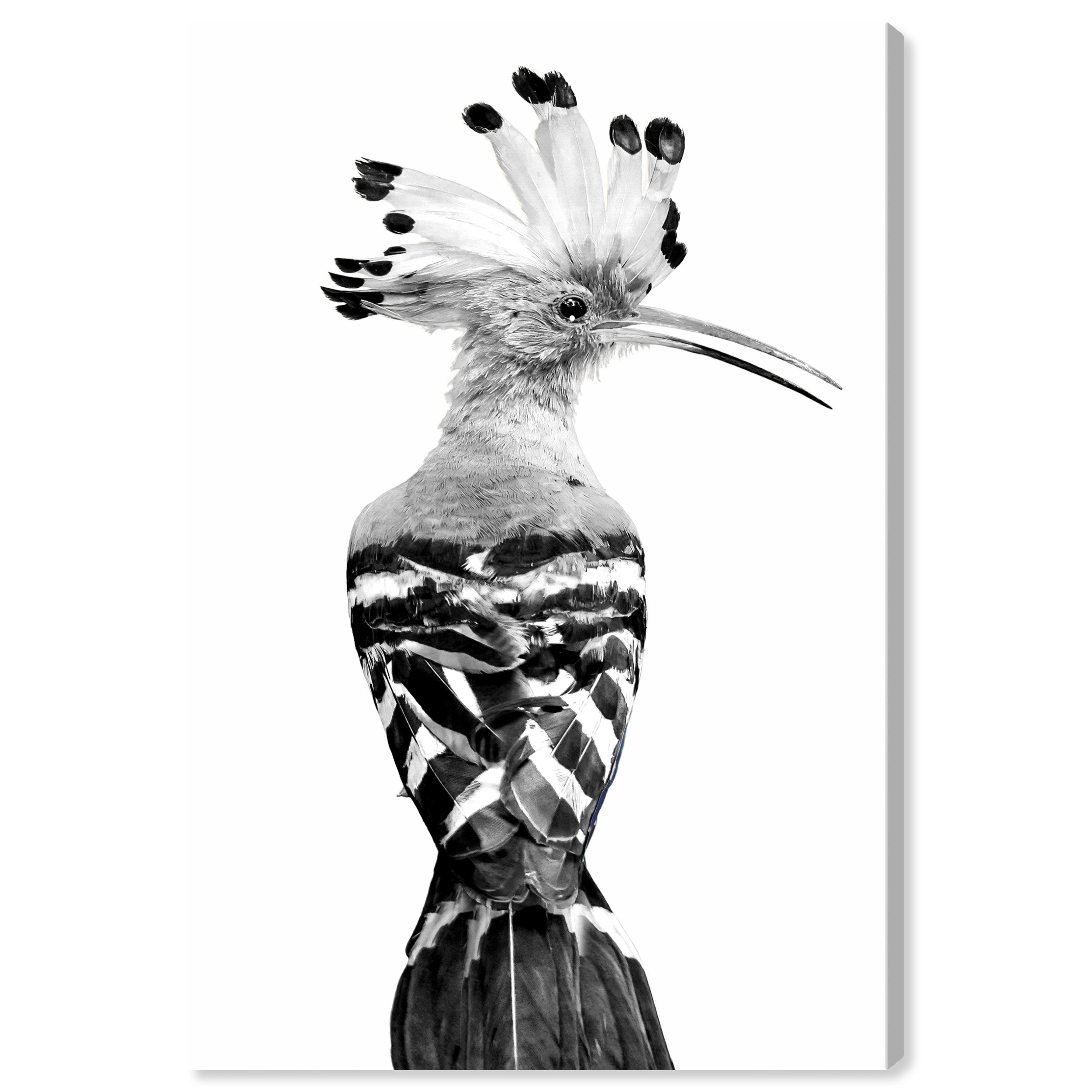 Ebern Designs Animals Hoopoe Black and White Glam Black Canvas Wall Art ...