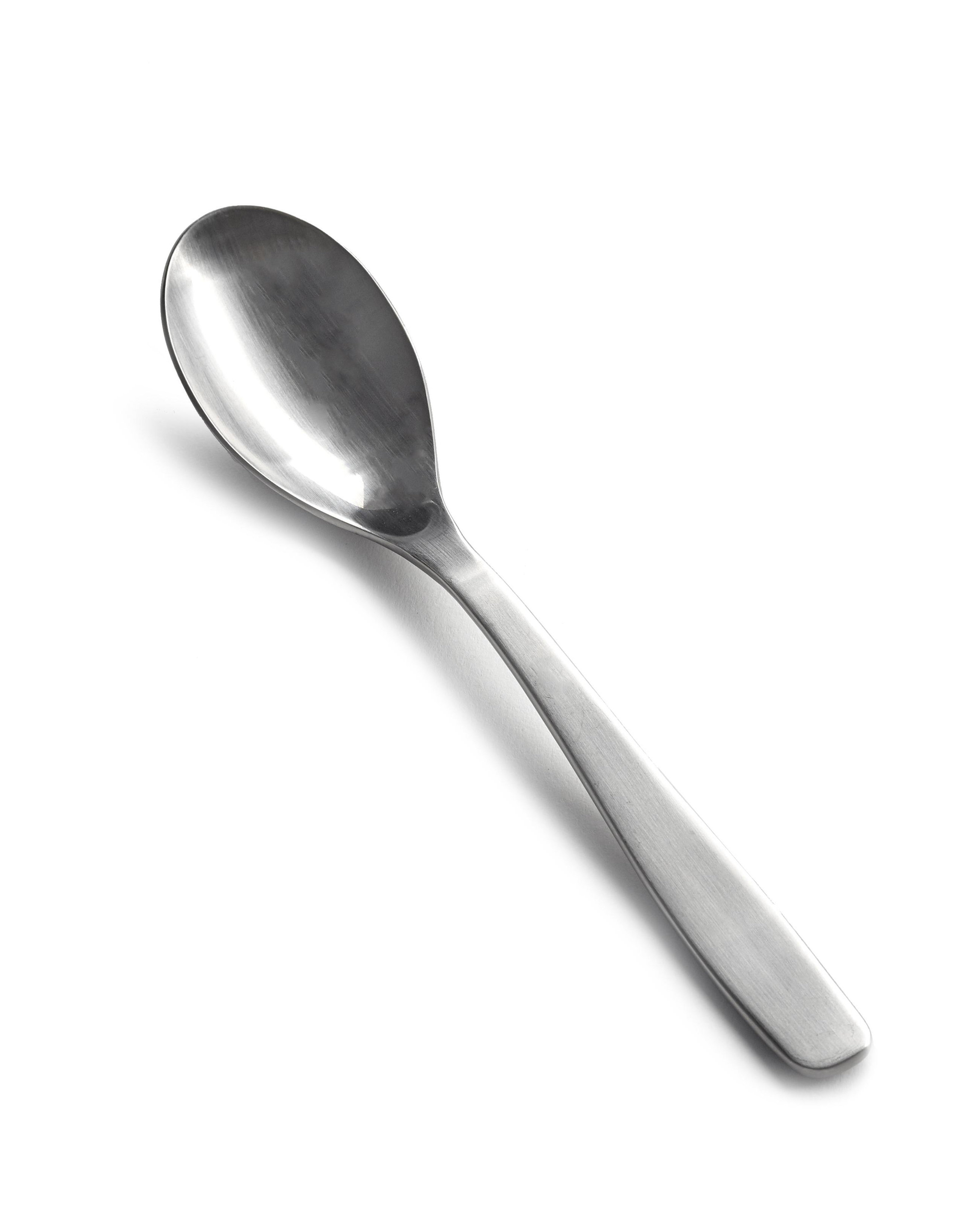 The Party Aisle™ Branham Dinner Spoon | Wayfair