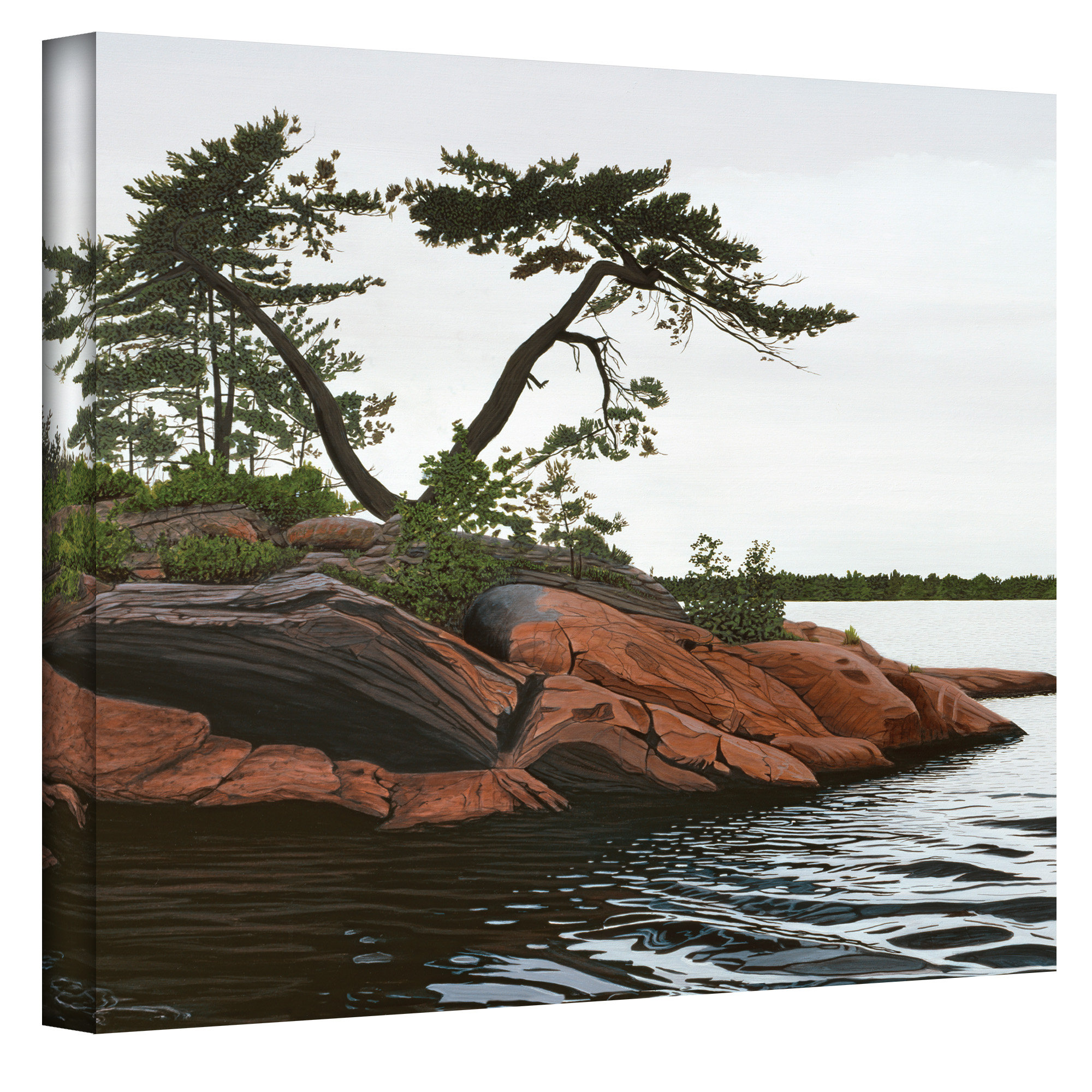 ArtWall Windswept by Ken Kirsch - Wrapped Canvas Graphic Art Print ...