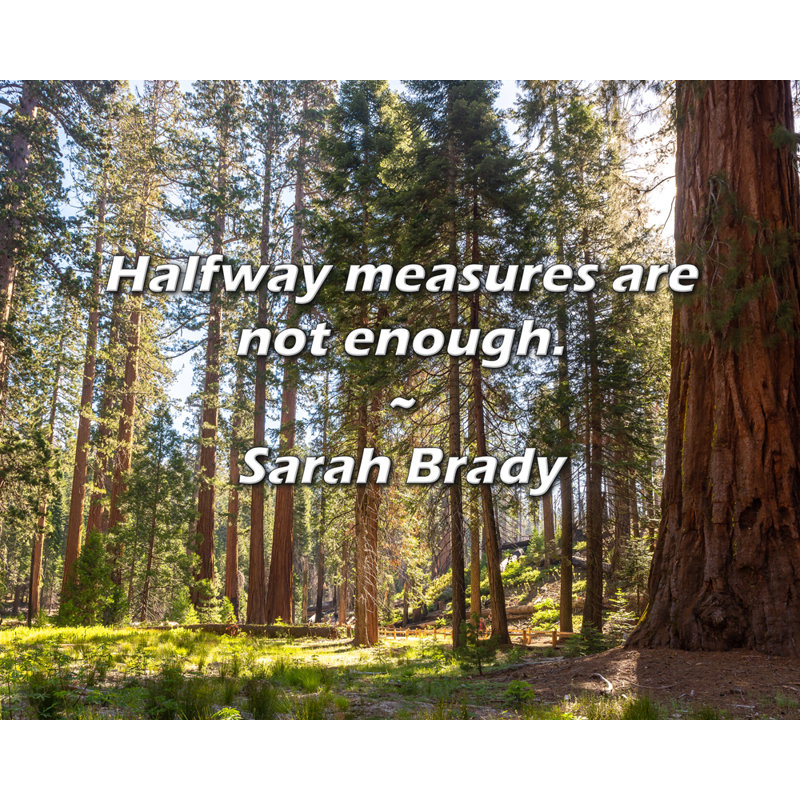 sarah measures
