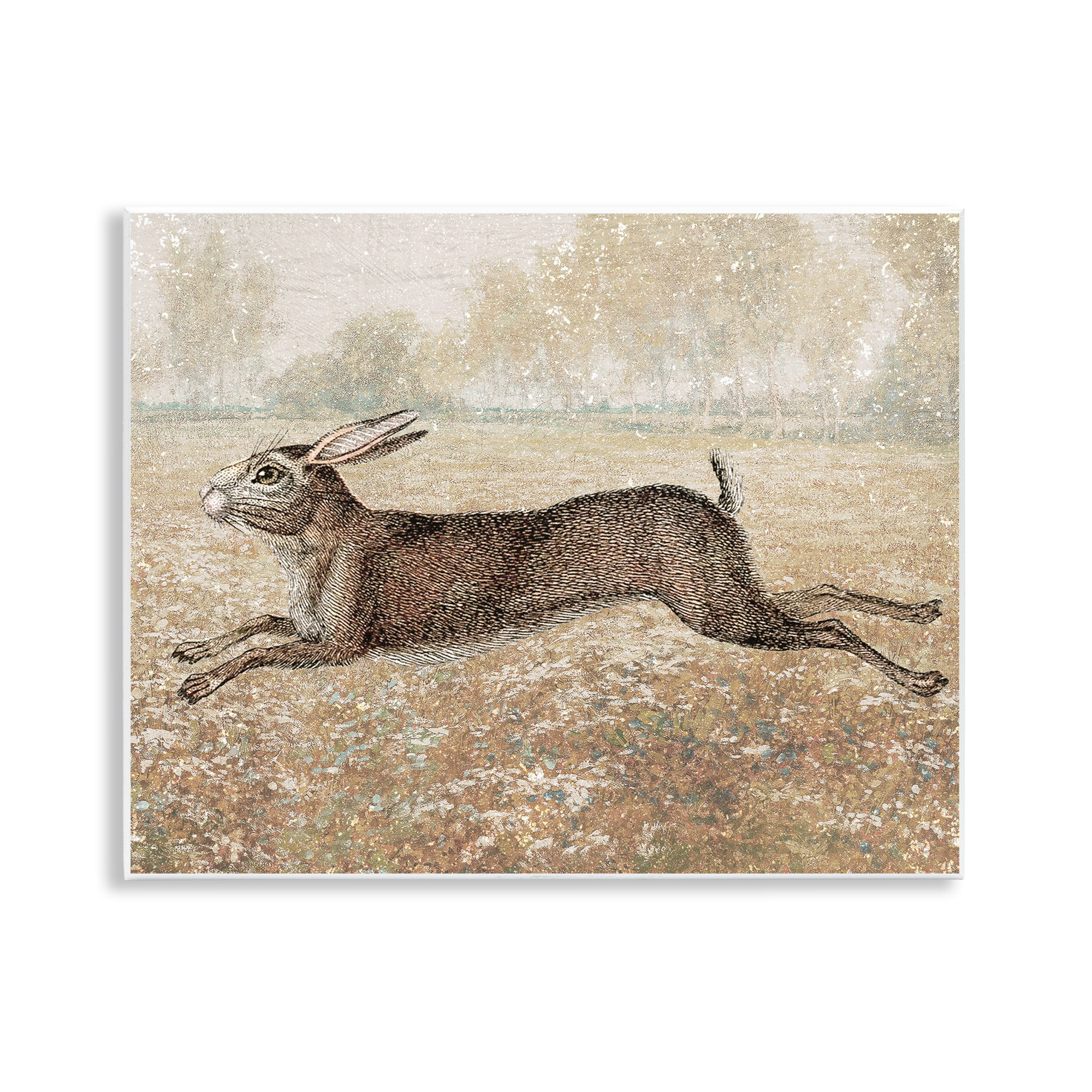 Ophelia & Co. Traditional Jumping Hare Wall Plaque Art by Daphne ...