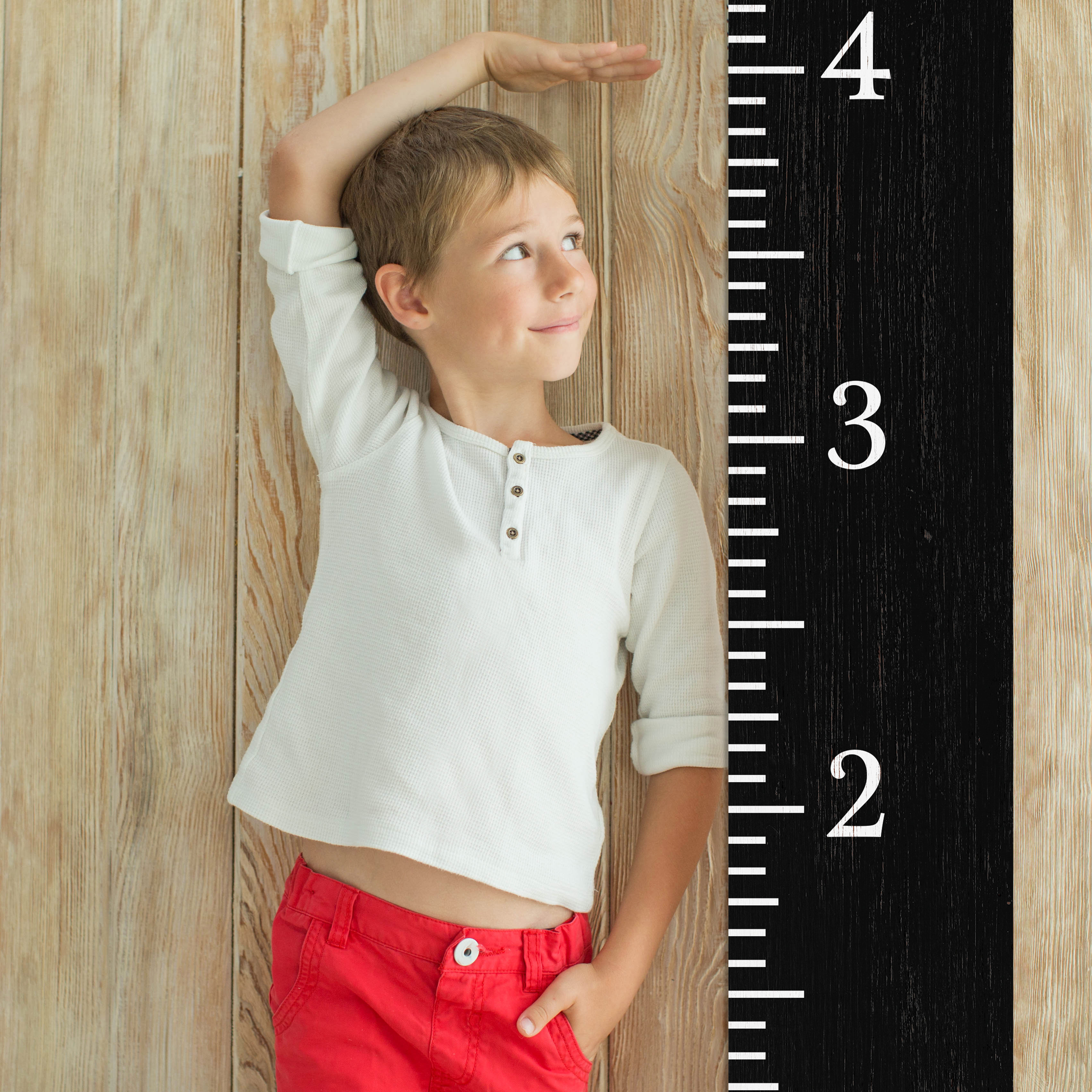 Ophelia & Co. 6ft Growth Chart Ruler - Playroom Decor, Wall Ruler, Wood ...