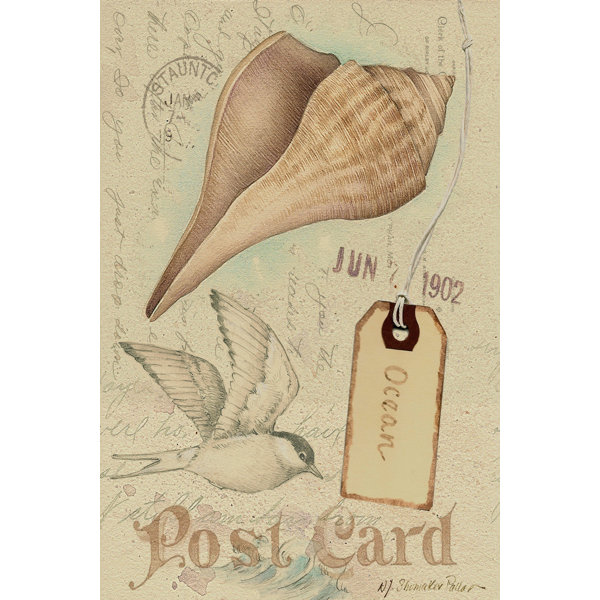 Highland Dunes Postcard Shells IV | Wayfair.co.uk