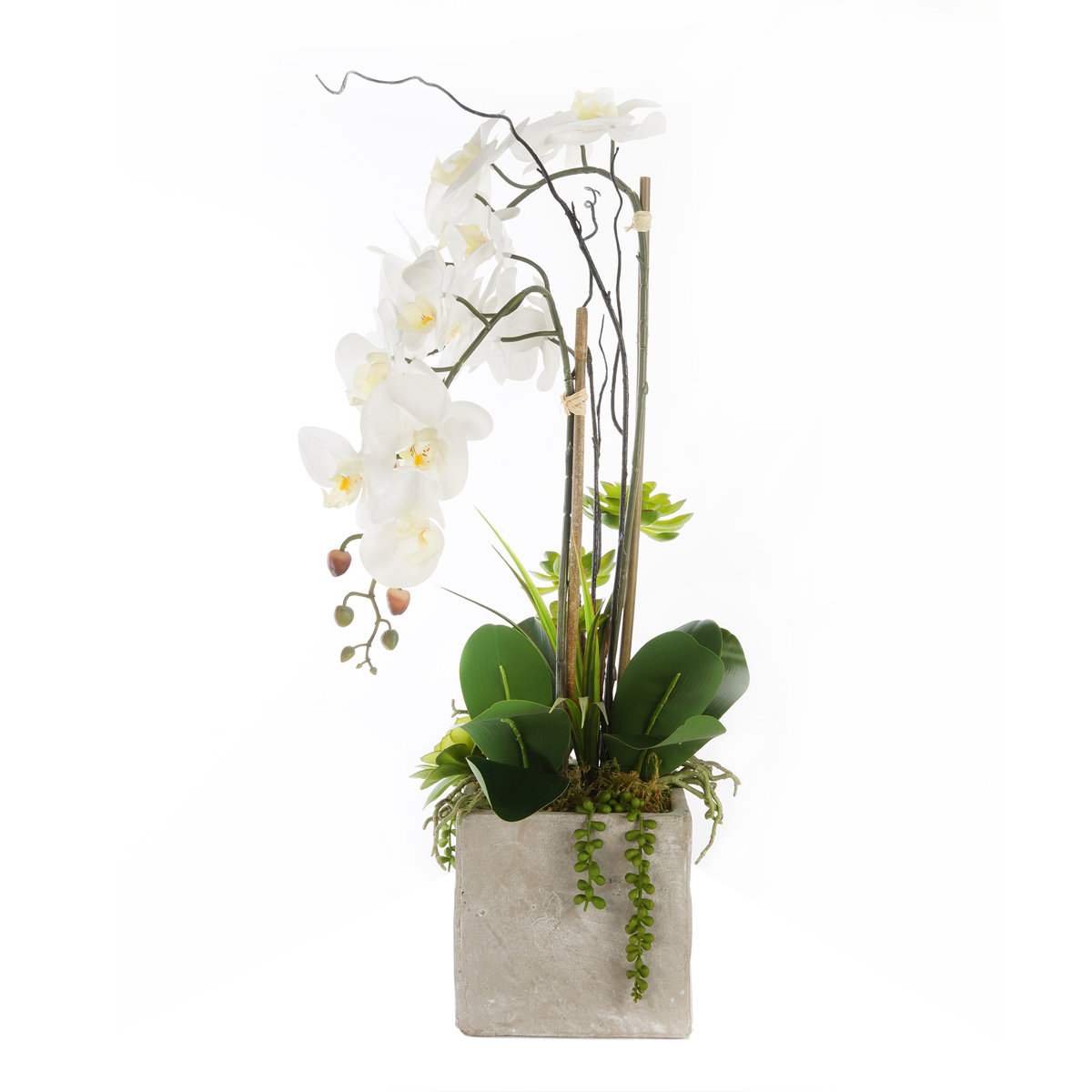 Jenny Silks Real Touch Orchid Floral Arrangement in Pot | Perigold