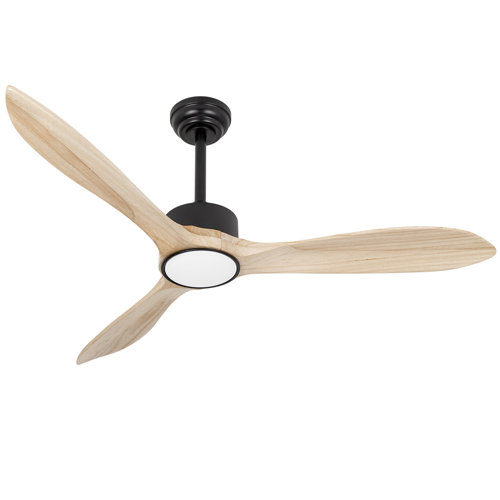 Black Blades Ceiling Fans You'll Love | Wayfair