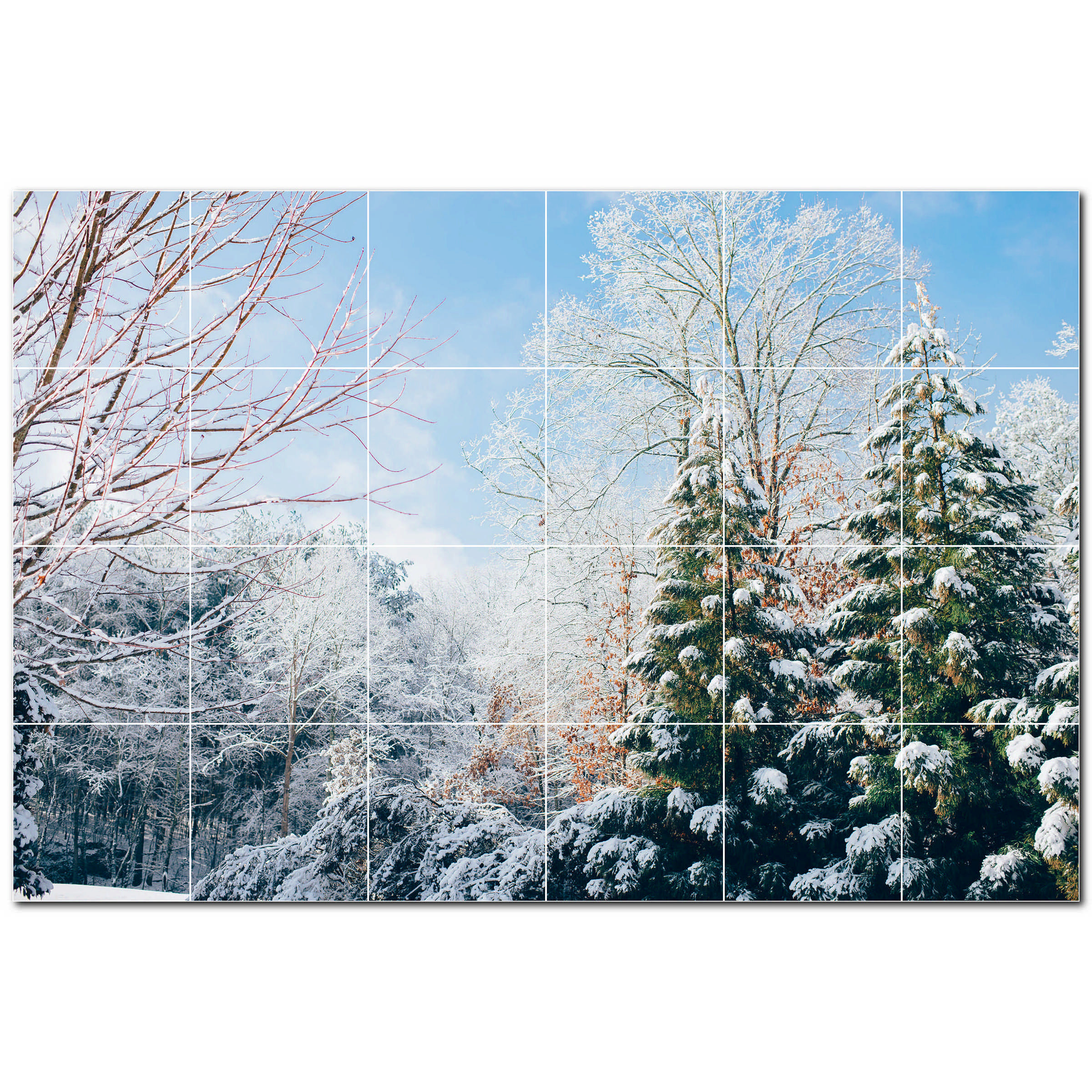 Picture-Tiles.com Winter Photo 12 x 12 | Wayfair